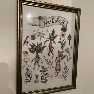 Herbology Medicinal Plant Chart Magic Botanical Watercolor Printable ...