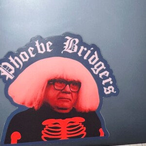 Phoebe Bridgers X Ongo Gablogian Sticker 3 SIZES 3 VARIATIONS It's ...