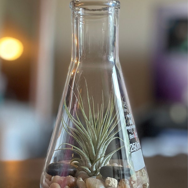 Science Themed Bar Glassware Set With Gift Box, Chemistry Glassware Set ...