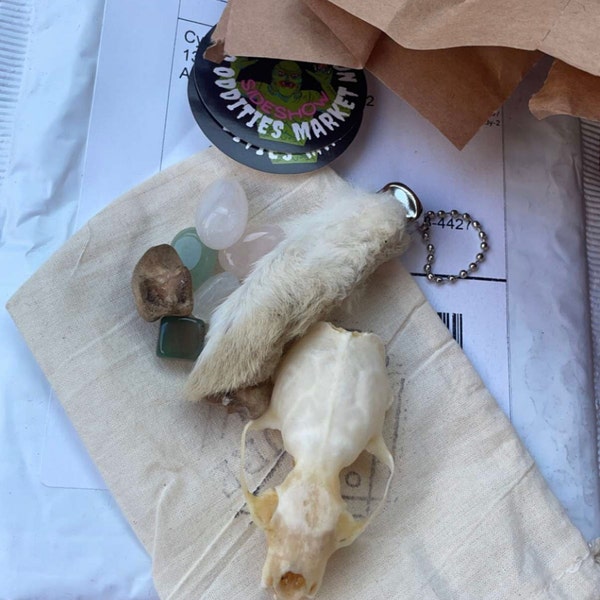 Bone, Skulls, and Oddities Mystery Bag - Etsy