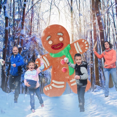 Digital Delivery, Funny Gingerbread Man Chase Digital Christmas Card ...
