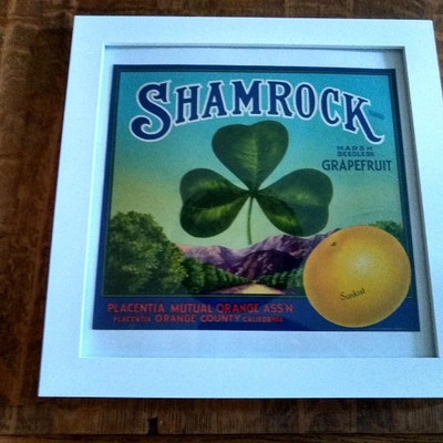 Original Vintage Citrus Crate Label 1930s Shamrock Grapefruit Placentia ...