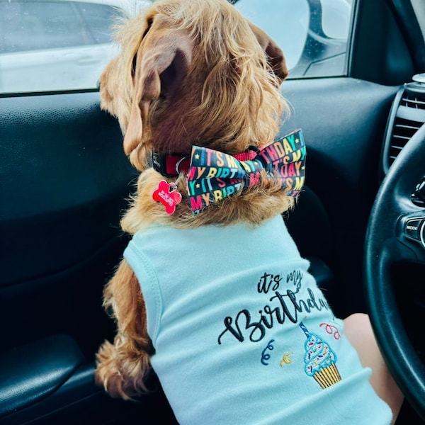 Birthday Dog Bow Tie, Bow Tie for Dogs, Cats, Pets, Bowtie, Bow Ties ...