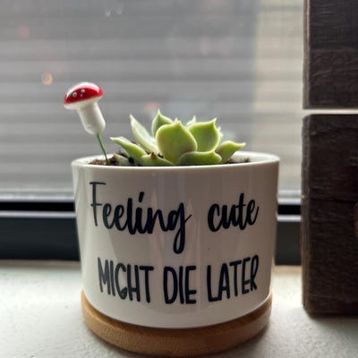 4 Inch Breast Cancer Awareness Terracotta Face Planter Pots With Pink ...