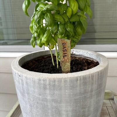 Garden Markers, Herb Stakes, Fruit & Vegetable Labels Handmade Ceramic ...