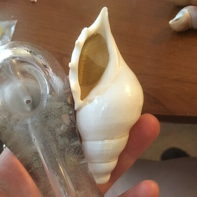 The Magic Conch Large Size White by Shellpipe free Pipe & Screens W ...