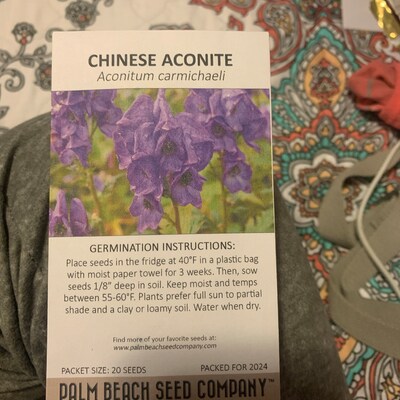 Joseph's Coat Perfecta Amaranth Seeds amaranthus Tricolour Packet of 40 ...