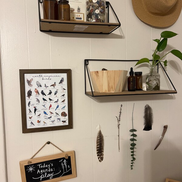 African Animals Flashcards | Three-part Montessori Flashcards | 28 ...