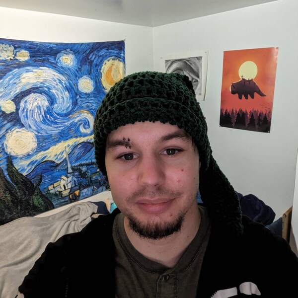 Legend of Zelda Link Hat Link Cosplay - Etsy