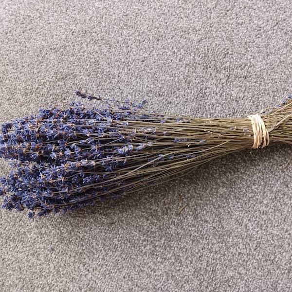 Nigella Pods Bunch | Dried Seed Pods | Love in a Mist Pods Natural ...