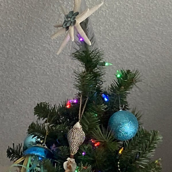 Beach Decor Starfish Tree Topper - Real Starfish & Limpet Shell ...