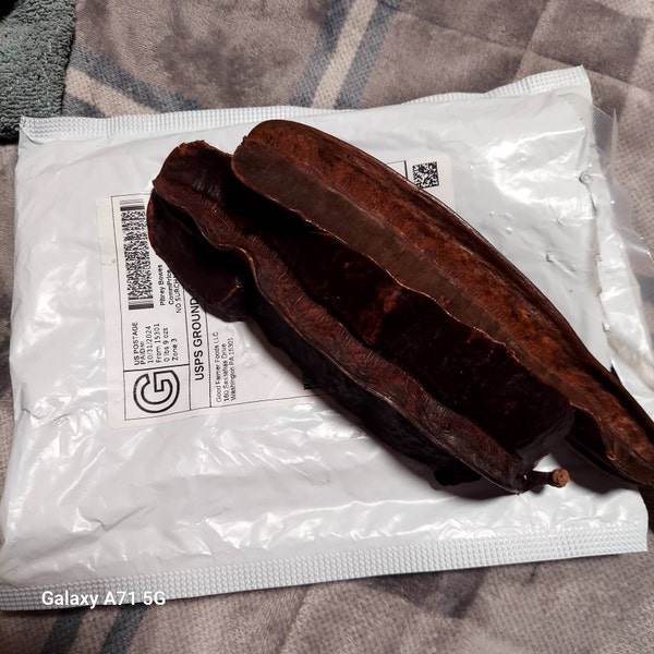 Prekese/ Aidan Fruit/ Tetrapleura Tetraptera/ Uhio From Ghana - Etsy