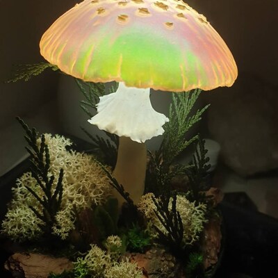 Mushroom Lamp MADE TO ORDER Mushrooms Mushroom Lamp Fungi Light ...