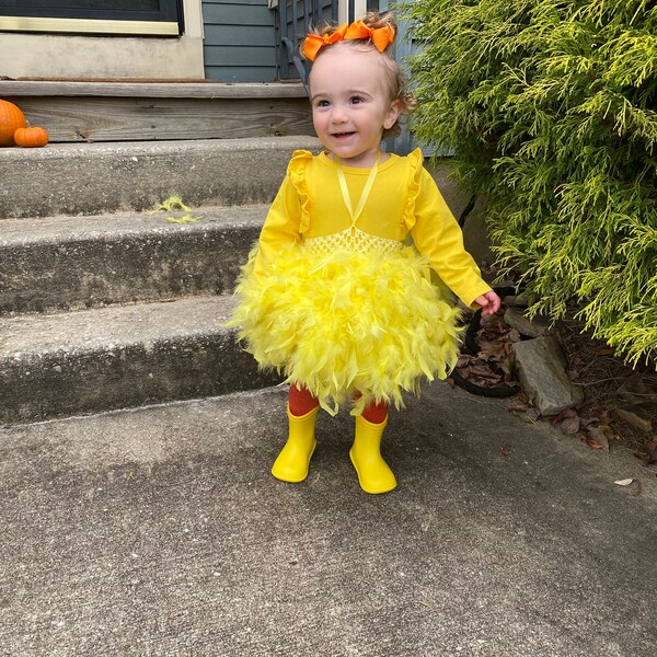 White Swan Iridescent Sequin Girls Feather Pageant Tutu Dress, Girls ...