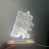 Cat on the Moon Led Night Light, 3D Illusion Table Lamp for Animal ...