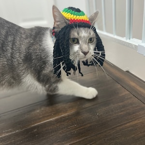 Rasta Hat for Cats - Etsy