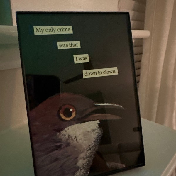 Troubled Bird Postcard Set of 50 - Birds - Animal - Mincing Mockingbird ...