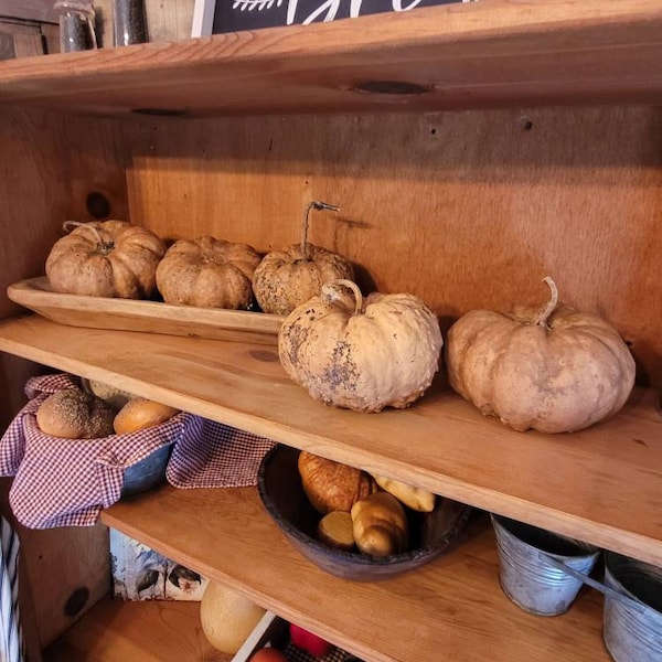 GOURDS Group of 5 Cheese Gourds ( Dried & Cleaned) - Etsy