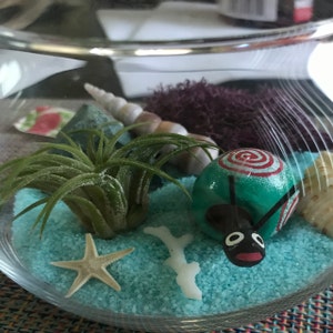 Yellow Frog Terrarium Kit - Etsy