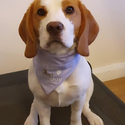 I Am Groot Guardians of the Galaxy Personalised Over the Collar Style ...