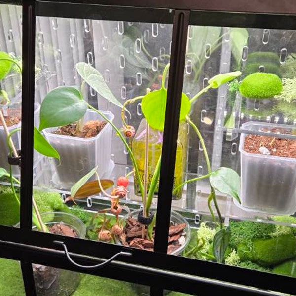Akerbar Small Pegboard and Shelf Acrylic Kit - Ikea Greenhouse - SKADIS ...
