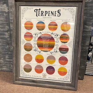 18 X 24 Inch Terpenes Cannabis Education Poster - Etsy
