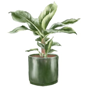 Digital Textures Watercolor Paper Ombre Watercolor Watercolor Clipart ...