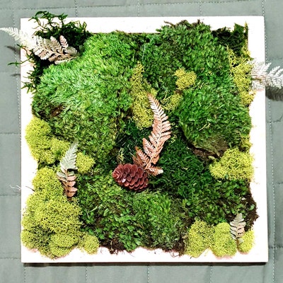 DIY Moss Wall Art Kit, Holiday Gift, Gift for Her Him, Make Your Own ...