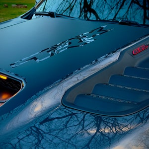 RAM TRX Bedside Decals TRX Eating Raptor Easter Egg Logo set of 2 - Etsy