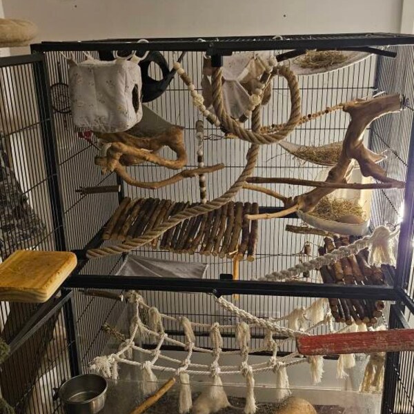 Pet Cargo Net for Cage Pet Rat Toy Accessories, Climbing Net, Fall ...