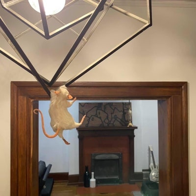 Hanging Mouse - Etsy UK