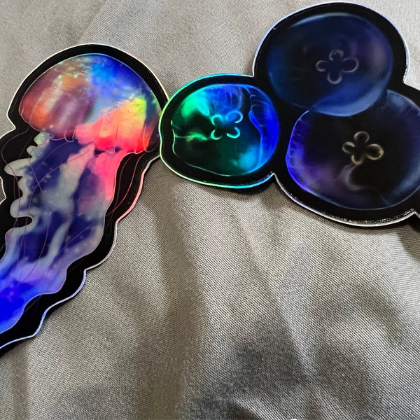 Choose Any 3 Sticker Pack, Waterproof Vinyl Sticker Pack, Planner ...