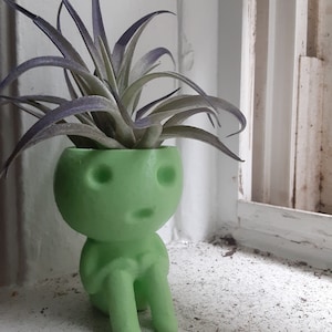Sitting Kodama Planter Pot for Succulents, Air Plants Other Plants Tree ...