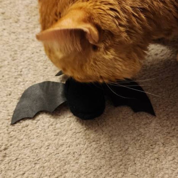 Squeaky Gavel Dog Toy - Etsy