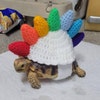 Tortoise Sweater Baby-sombrero. Sombrero Hat for Tortoise, Turtle ...