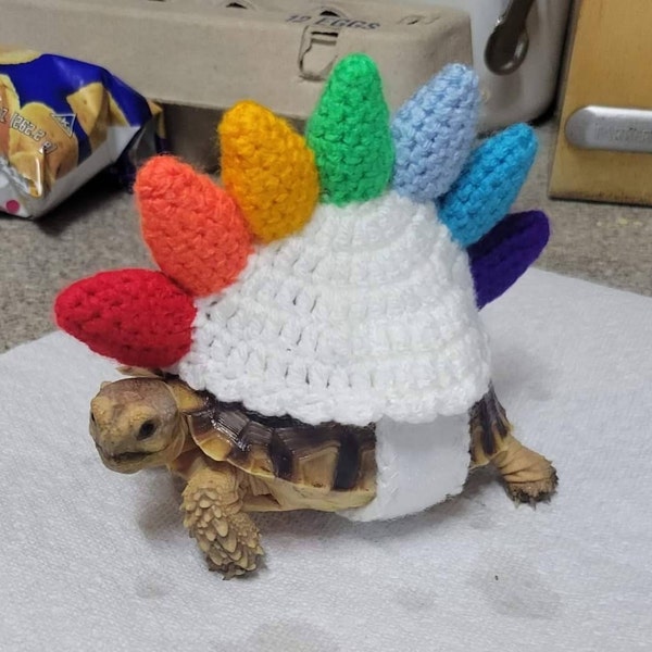 Tortoise Crochet Outfit Rainbow Dinosaur Tortoise Shell Costume on Sale ...
