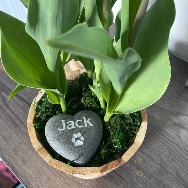 Thank You Rock! Paperweight Gratitude Gift - Rock Made of 100% Natural ...