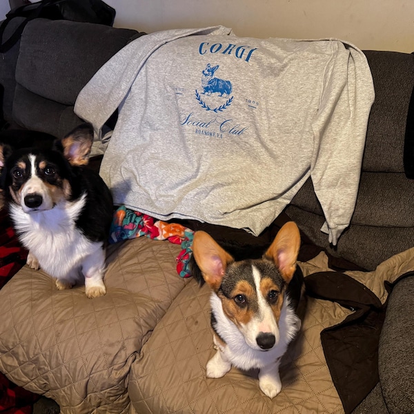 Custom Heeler Social Club Shirt, Blue Heeler Shirt, Australian Cattle ...