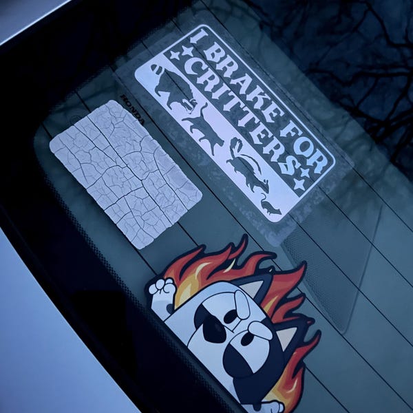 I Brake for Critters Window Car Decal - Car Stickers, Trendy Car Decals ...