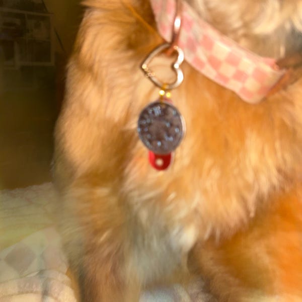 Fall Autumn Acorn and Leaves Pet Tag Dog Tag Cat Tag - Etsy