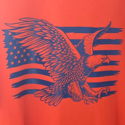 Eagle Through Flag Svg, Eagle With Flag Svg, Eagle USA Svg, American ...