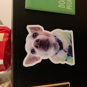 Dead Lift Sticker, Funny Vinyl Sticker, PREMIUM Quality, Laminated ...