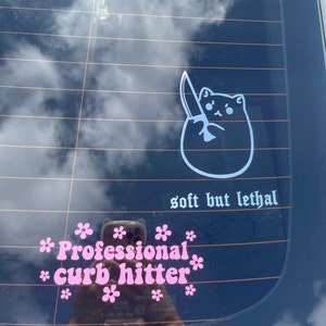 Professional Curb Hitter Vinyl Decal - Etsy