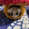 Mouse House Crochet Amigurumi Pattern - Etsy