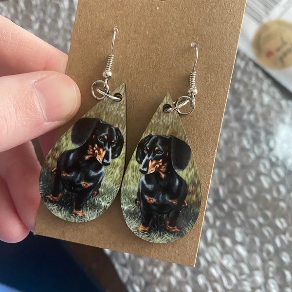 Bear License Plate, License Plate Bear, Black Bear Front License Plate ...