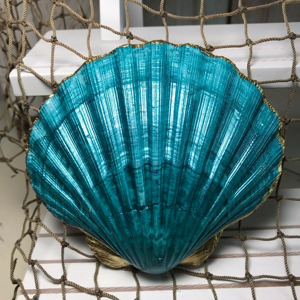 6 Extra Large Real Irish Baking Scallop Shells (4 1/2"- 4 7/8 ...