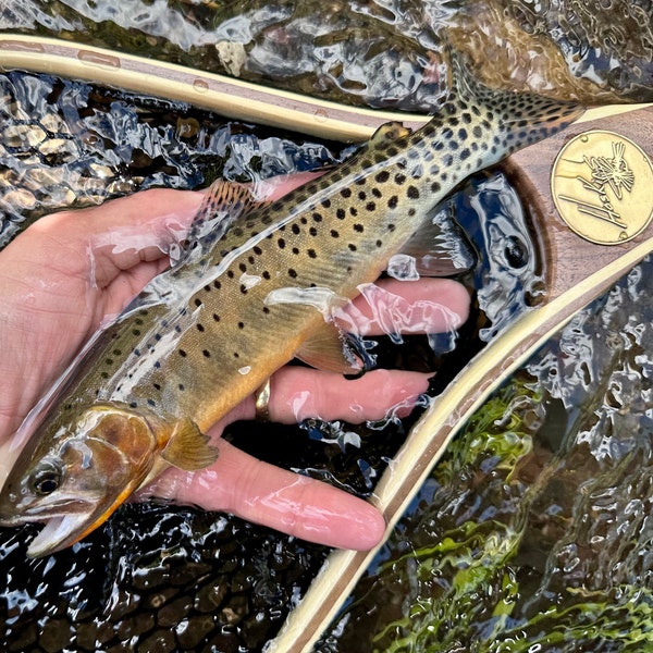 Large Bow Net - Etsy