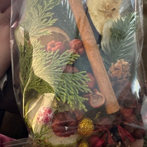 Cherokee, North Georgia Candy Roaster Squash . Cucurbita Maxima - Etsy