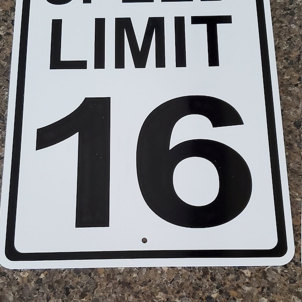 Speed Limit 16 Metal Sign: 16th Birthday Party Decor - Etsy