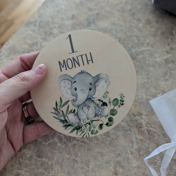 Elephant Milestone Cards, Baby Milestone Elephant Discs Marker, Wood ...